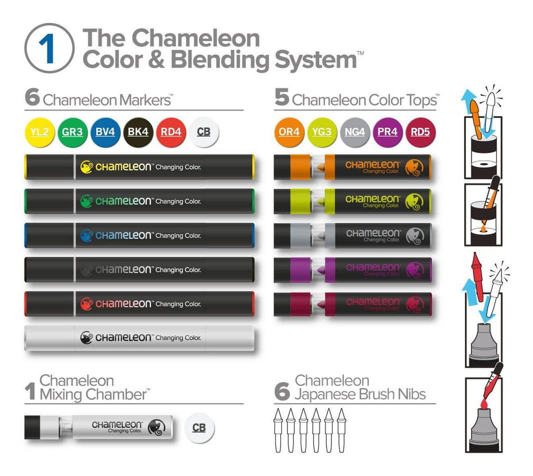 Chameleon Nederland – Chameleon Arts